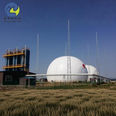 China High Capacity Double Membrane Gas Holder with Customized Size and Automatic Control for Biogas Storage for sale