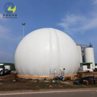 China High Capacity Double Membrane Gas Holder with Customized Size and Automatic Control for Biogas Storage for sale
