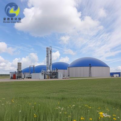 China Biogas Storage Tank for sale