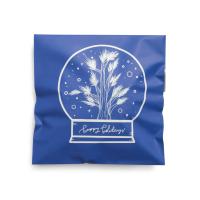 China Antiwear Poly Mailers Shipping Envelopes , Portable Custom Biodegradable Poly Mailers for sale