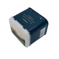 China Rustproof Rectangular Printed Tin Boxes With Hinged Lid Antiwear for sale