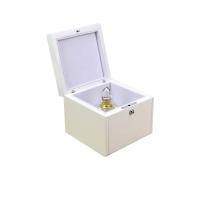 China Moistureproof Wooden Jewellery Gift Box for sale