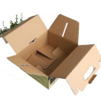 China Dustproof Fruit Corrugated Paper Box With Handle Recycled Durable for sale