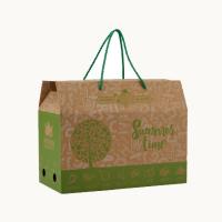 China Collapsible Fruit Corrugated Cardboard Box With Handle Portable for sale