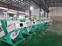 China The Newest High Capacity Dal/Pea/Wheat/Grain/Nut/Seed/Bean Color Sorter for sale