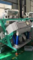 China 2 Chutes Intelligent Color Sorter ,Grain Nuts Beans Food Color Sorting Machine for sale