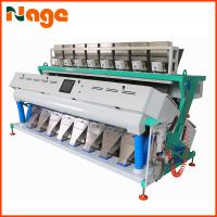 China 10 Chutes Peanut Color Sorter Machine With CE / SGS Certification for sale