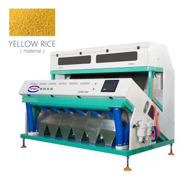 China SGS 384 Chutes Grain Color Sorter Machine 10T Processing Capacity for sale