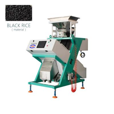 China 64 Chutes 1500KGS Wheat  Rice Color Sorter Machine anti jamming for sale