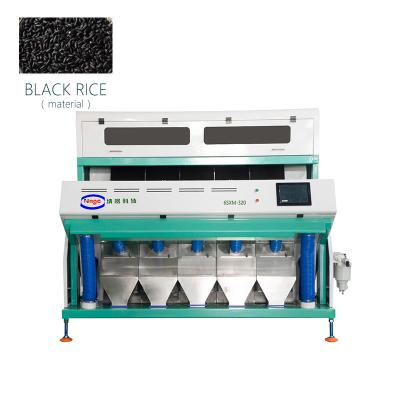 China 8t/H 320 Chutes Peanuts Rice Color Sorter With Vibrator Feeder for sale