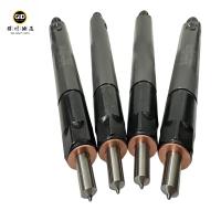 China Diesel Fuel Injector P179 for Steyr Engine Mechanical Injector Assembly and Heavy Equipment for sale