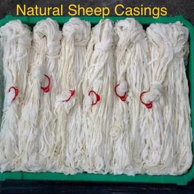 China Natural Sheep Casing 18-22mm Halal Certified for Sausage Production for sale