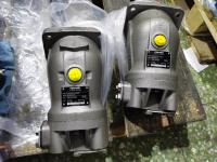 China A2FO45/61R-VBB05 Hydraulic Pump Versatile for sale