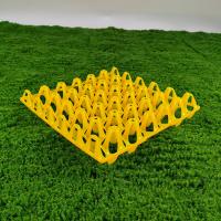 China Industrial Egg Tray For Agriculture Market Customizable Design for sale