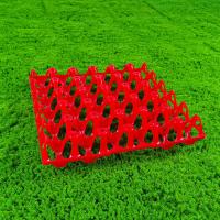 China Eco Friendly Rectangular Egg Tray For Agriculture In Red Yellow Blue Or White for sale