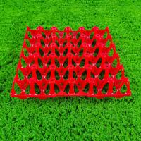 China Eco Friendly Rectangular Egg Tray For Agriculture In Red Yellow Blue Or White for sale