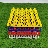 China Eco Friendly Egg Tray For Agricultural Egg Packing Red Yellow Blue White Colors 30 Holes for sale