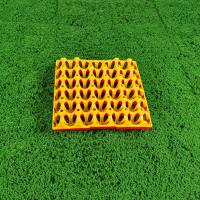 China 30 Hole Eco Friendly Plastic Egg Carton For Agriculture Carton Packaging for sale