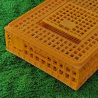 China Sturdy Poultry Transport Cage Secure Locking System Easy To Clean Chicken Farm Carrier Box for sale