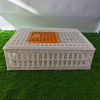 China Portable Poultry Cage With Hygienic Design Secure Locking System Sturdy Construction for sale
