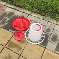 China Plastic Poultry Chook Hen Food Eating Seed Bucket Duck Feeder Food Eating Seed Bu for sale