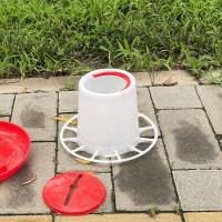 China Waterproof Plastic Poultry Feeder For Chickens Ducks Geese Turkeys Automatic Pet Feeder for sale
