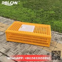 China Convenient Hassle Free Durable Sturdlargey Poultry Transportation Cages for sale
