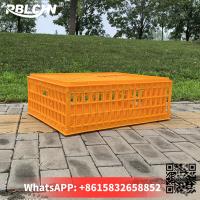 China Plastic Hygiene Security Chicken Transport Crates for sale