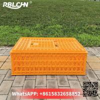 China Plastic Hygiene Security Chicken Transport Crates for sale