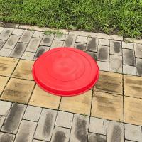 China Circular Plastic Chicken Feeding Trays Sturdy And Durable for sale