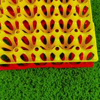 China High-Capacity Poultry Feed Bucket for Large-Scale Poultry Farms plastic egg trays farming technology for sale