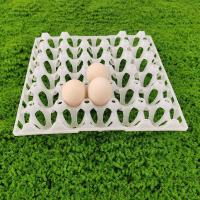 China High-Capacity Poultry Feed Bucket for Large-Scale Poultry Farms plastic egg trays farming technology for sale