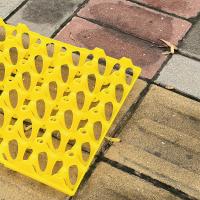 China 30 Holes Rectangular Plastic Egg Tray Eco Friendly for sale