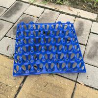 China Versatile Sturdy Reusable Plastic Egg Cartons Egg Packing for sale