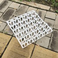 China Versatile Sturdy Reusable Plastic Egg Cartons Egg Packing for sale