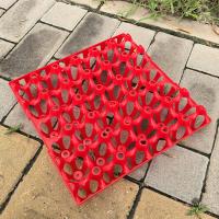 China Versatile Sturdy Reusable Plastic Egg Cartons Egg Packing for sale