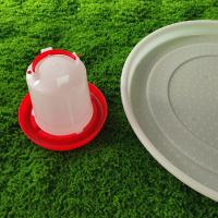 China Easy Cleaning Poultry Feeding Tray Standard Capacity Bird Breeding Tool for sale