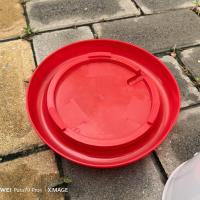 China Plastic Poultry Drinker Red For Improved Poultry Performance And Profitability Fresh Drinking Water for sale