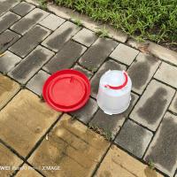 China Plastic Poultry Drinker Red For Improved Poultry Performance And Profitability Fresh Drinking Water for sale