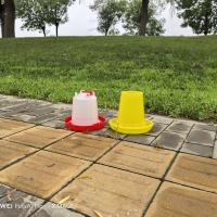 China Easy Installation Poultry Drinker With Anti-drip Feature And Cone Shape Backyard Poultry for sale