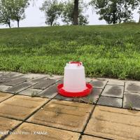 China Easy Installation Poultry Drinker With Anti-drip Feature And Cone Shape Backyard Poultry for sale