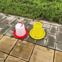 China Easy Installation Poultry Drinker With Anti-drip Feature And Cone Shape Backyard Poultry for sale