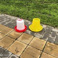 China Easy Installation Poultry Drinker With Anti-drip Feature And Cone Shape Backyard Poultry for sale