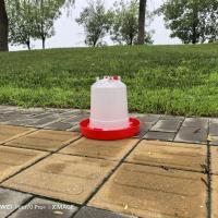 China Constant Water Supply Poultry Drinker With Anti-drip And Extra Large Capacity Design Watering Product for sale