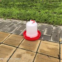 China Constant Water Supply Poultry Drinker With Anti-drip And Extra Large Capacity Design Watering Product for sale