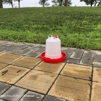 China Constant Water Supply Poultry Drinker With Anti-drip And Extra Large Capacity Design Watering Product for sale