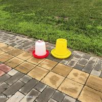 China Convenient Anti Drip Bird Watering Dispensers For Small Aviaries Poultry Birds for sale