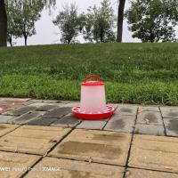 China Innovative Freestanding Chicken Feed Dispenser With Cylinder Technology for sale