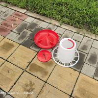 China Spacious Standard Size Plastic Poultry Feeder / Fowl Feeding Tool for sale