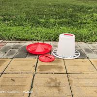 China Spacious Standard Size Plastic Poultry Feeder / Fowl Feeding Tool for sale